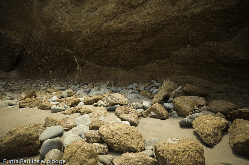Eco-lodge Punta Patillos