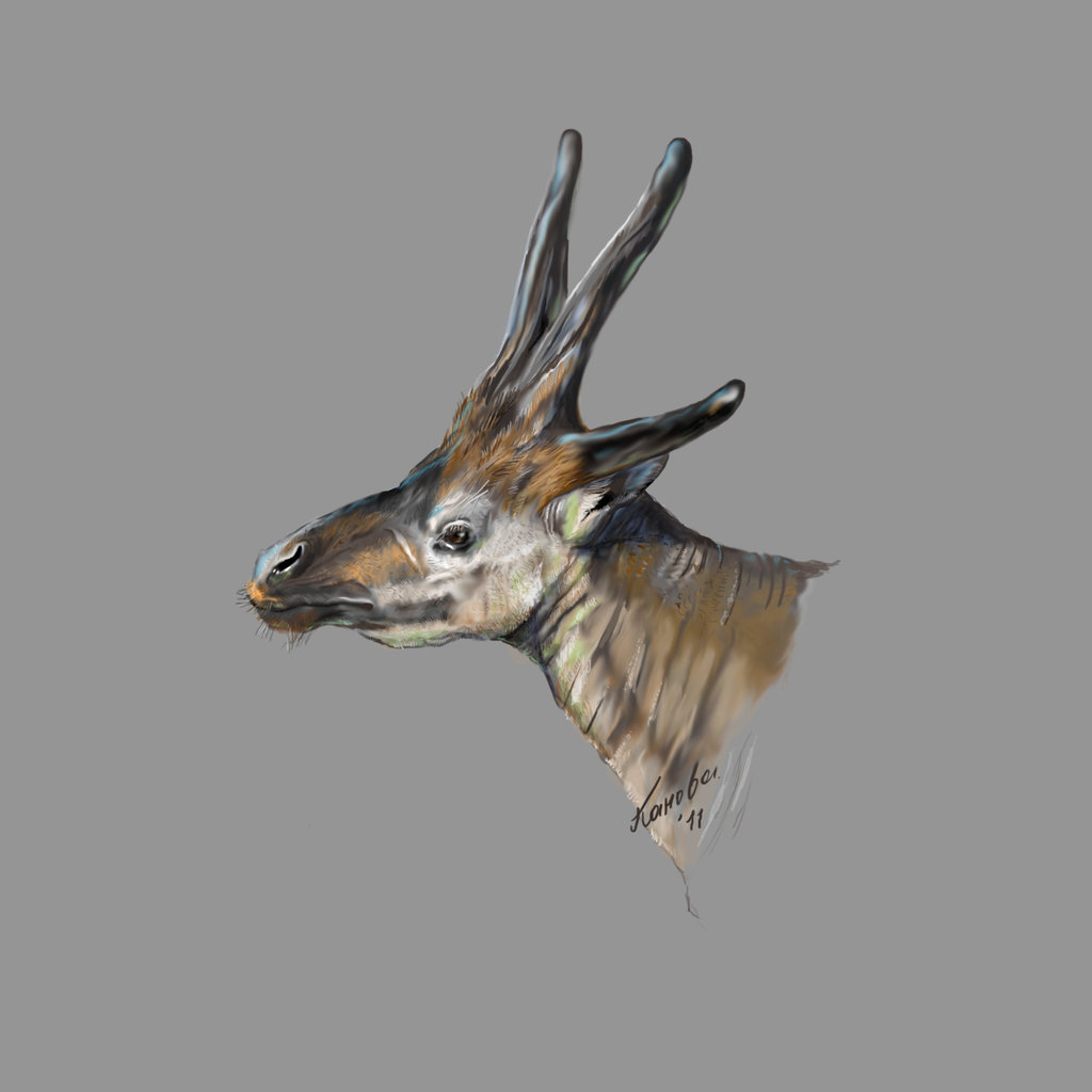 Mi blog: Galería de imágenes: Bramatherium