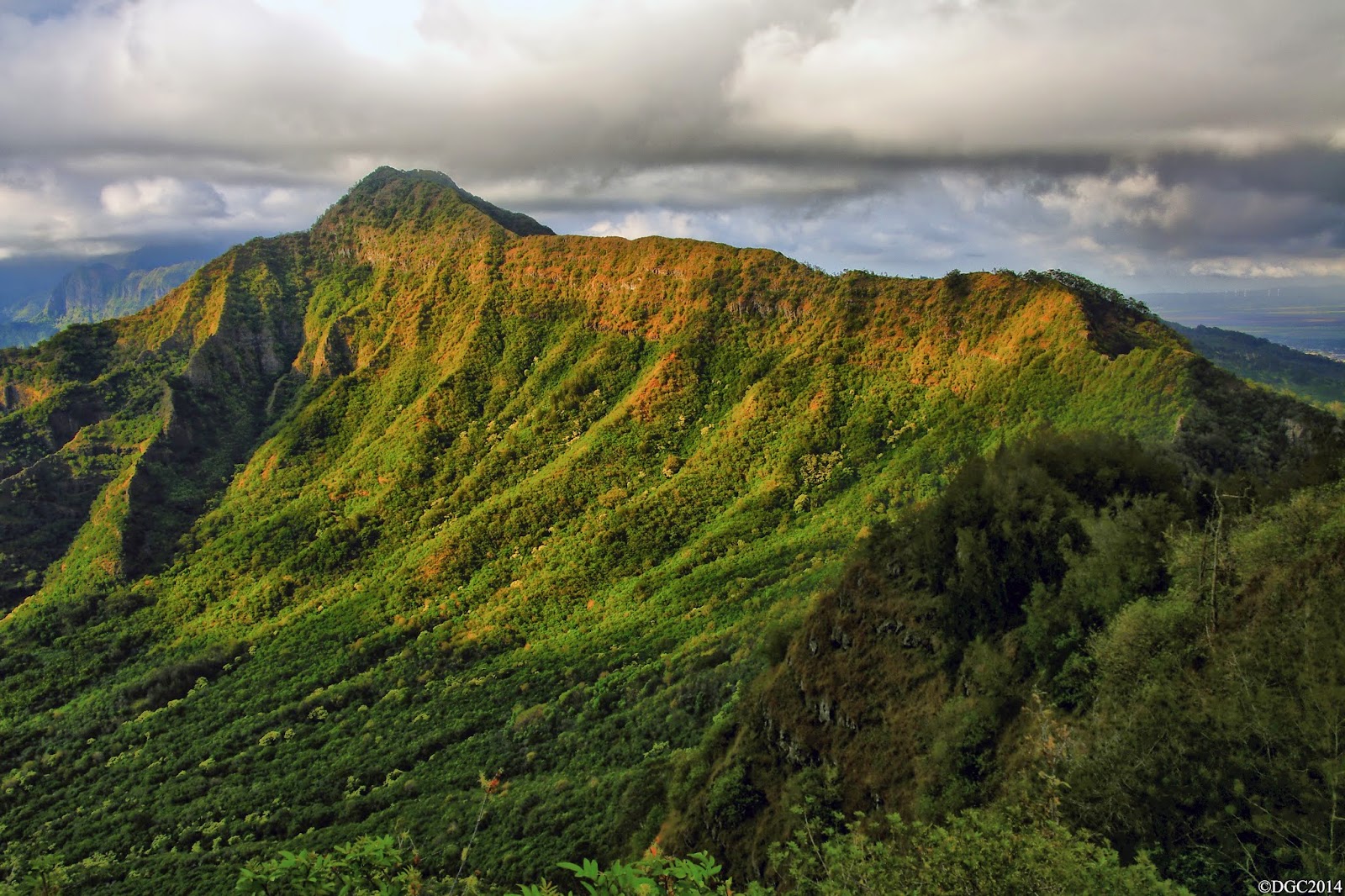 DGC's Hawaii Hiking Tales: 1-17-2014: Waiʻanae Summit Trail - Kaua to ...