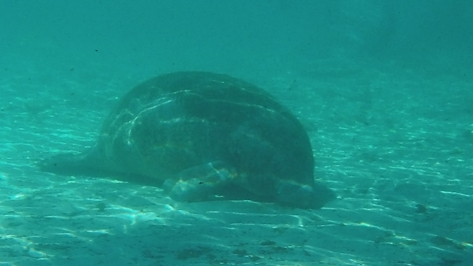 2013 JFHMS World Strides Florida Trip: Day 3 - Thursday March 21, 2013 ...