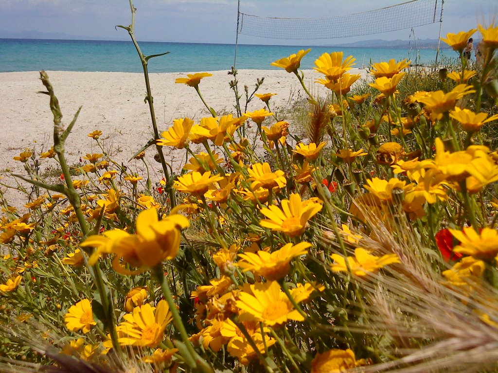 The passion of colors: Photos from Spring in Greece!
