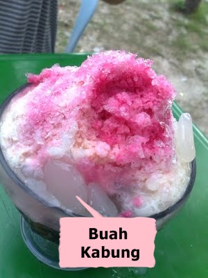 PANITIA BIOLOGI SMKASR: Pokok Enau / Kabung