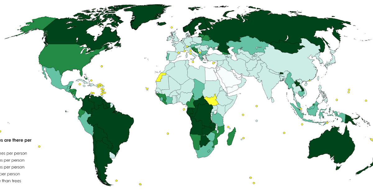 Trees per person across the world, mapped
