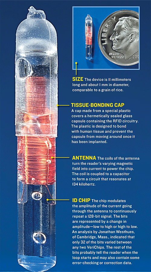 O Portal do Saber: O Biochip Será Obrigatório!!!
