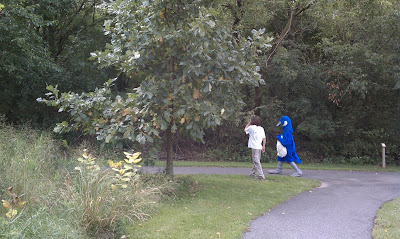 The Birdchaser: Puddles USFWS Blue Goose Sighting.