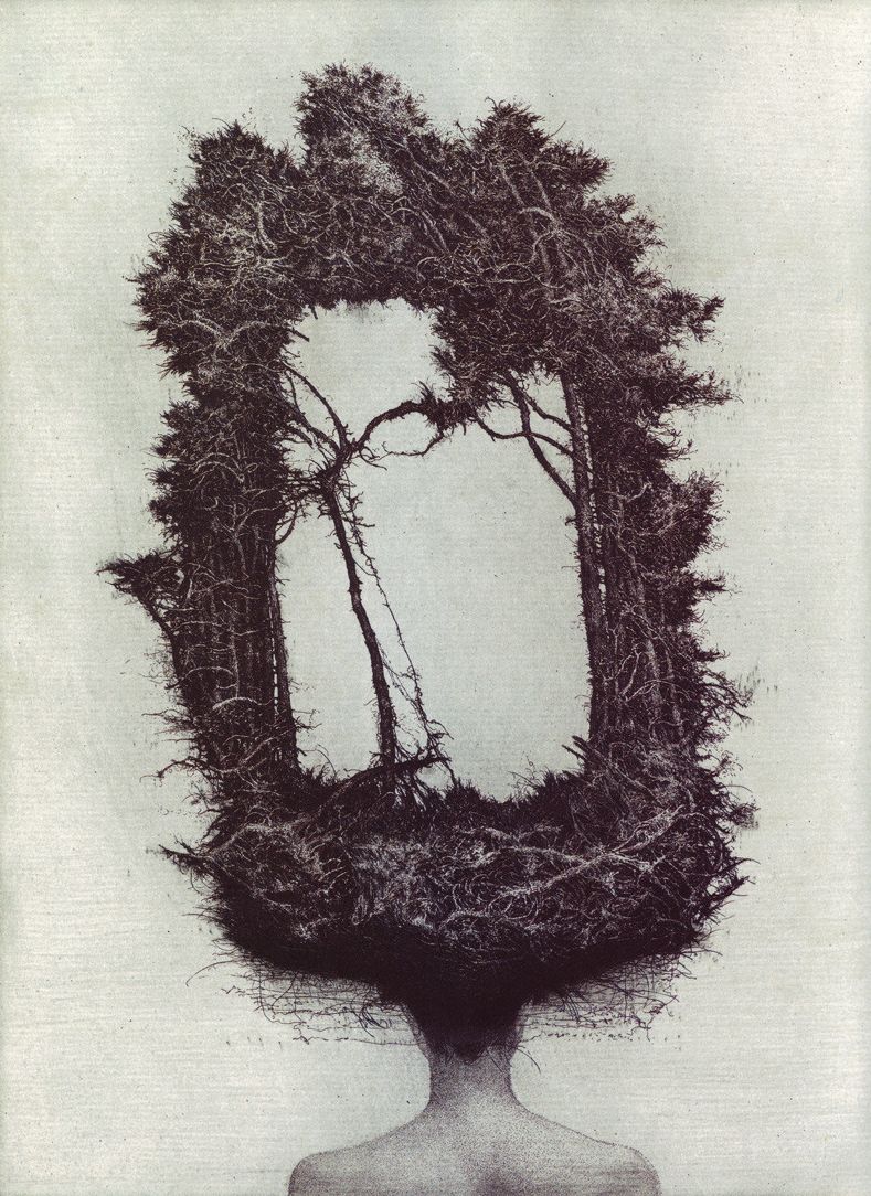 blue circle / yellow square: Legendy: Albín Brunovský