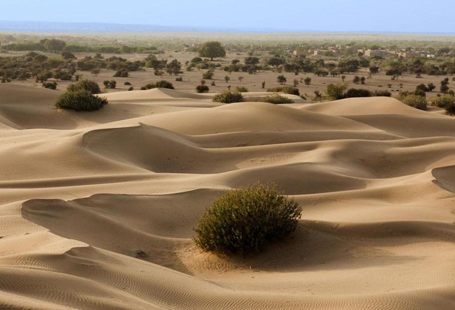 தமிழிற் கற்போம்: ஐவகை நிலங்கள்