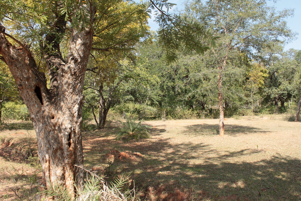 Maithreya India: Gunduthopu, Gomala and Kaval Lands of Karnataka