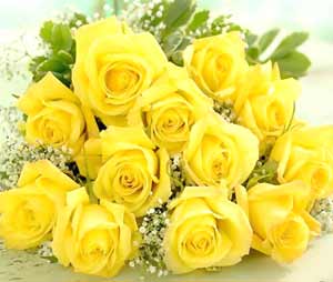 COLORS OF ROSES: YELLOW ROSES