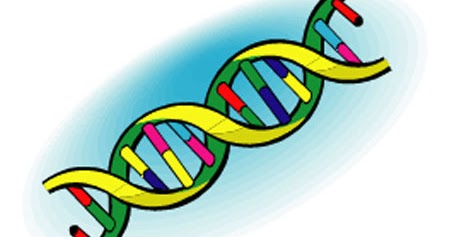 DNA facts for kids | Childhood Education