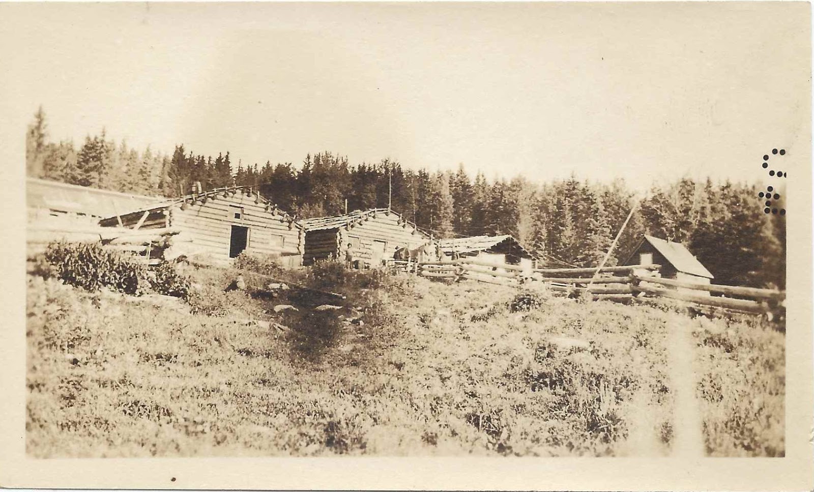 Heirlooms Reunited: c 1918 Photographs of Maine Logging Camps in ...