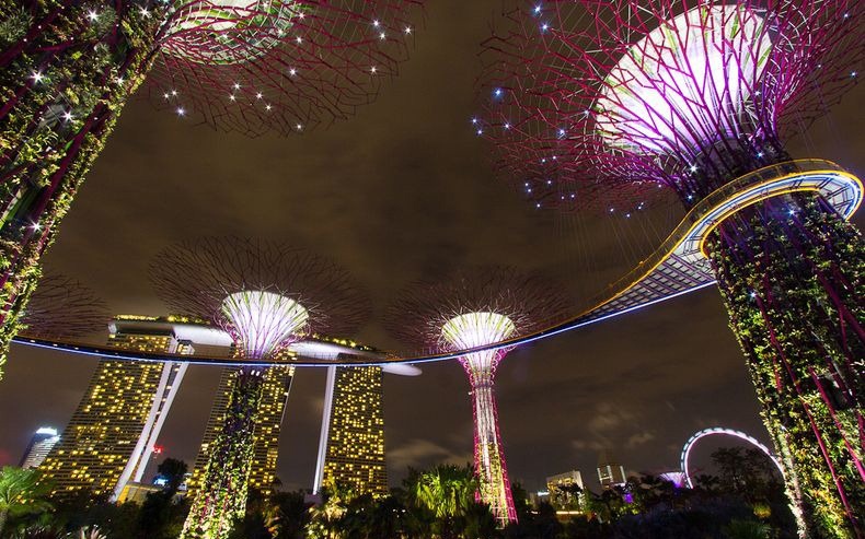 mx-design-studio: Supertrees Singapore