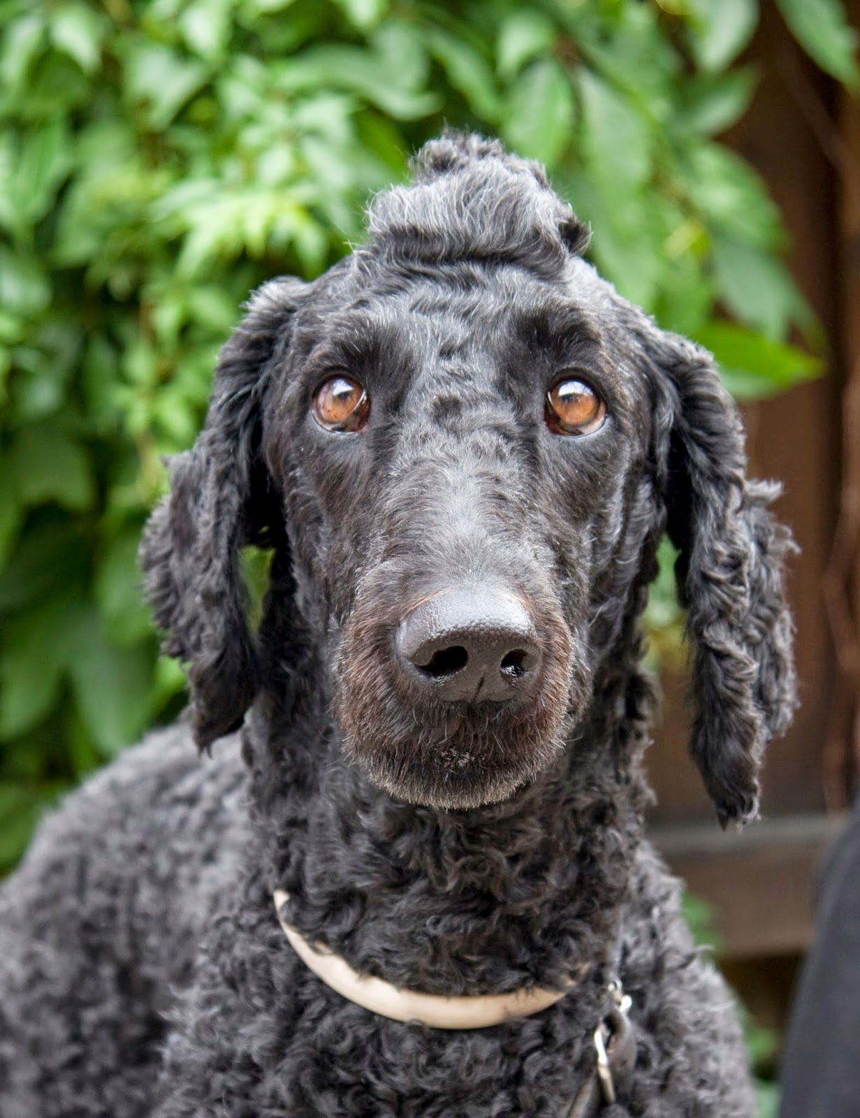 El Caballo al galope: Cómo una gran empresa usa las redes sociales: el ...