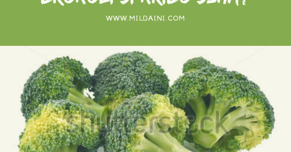 Brokoli, Sayur Sehat Untuk Diet Cantik | Milda Ini