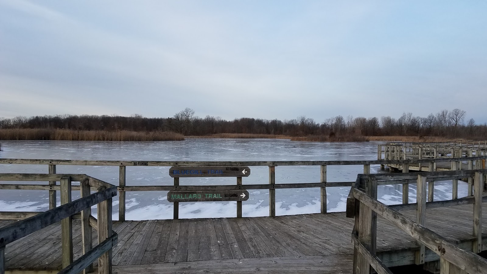 Wilderness Wanderings: Crosswinds Marsh