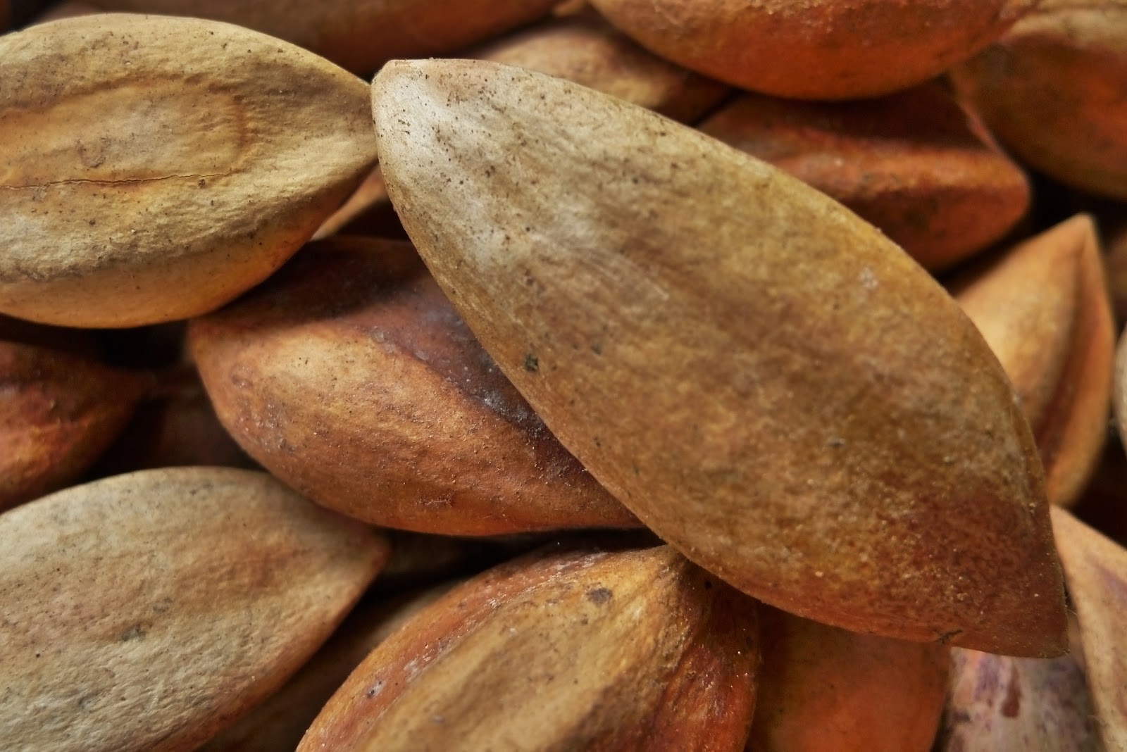 Epic Street :: Just Passing by in Albay