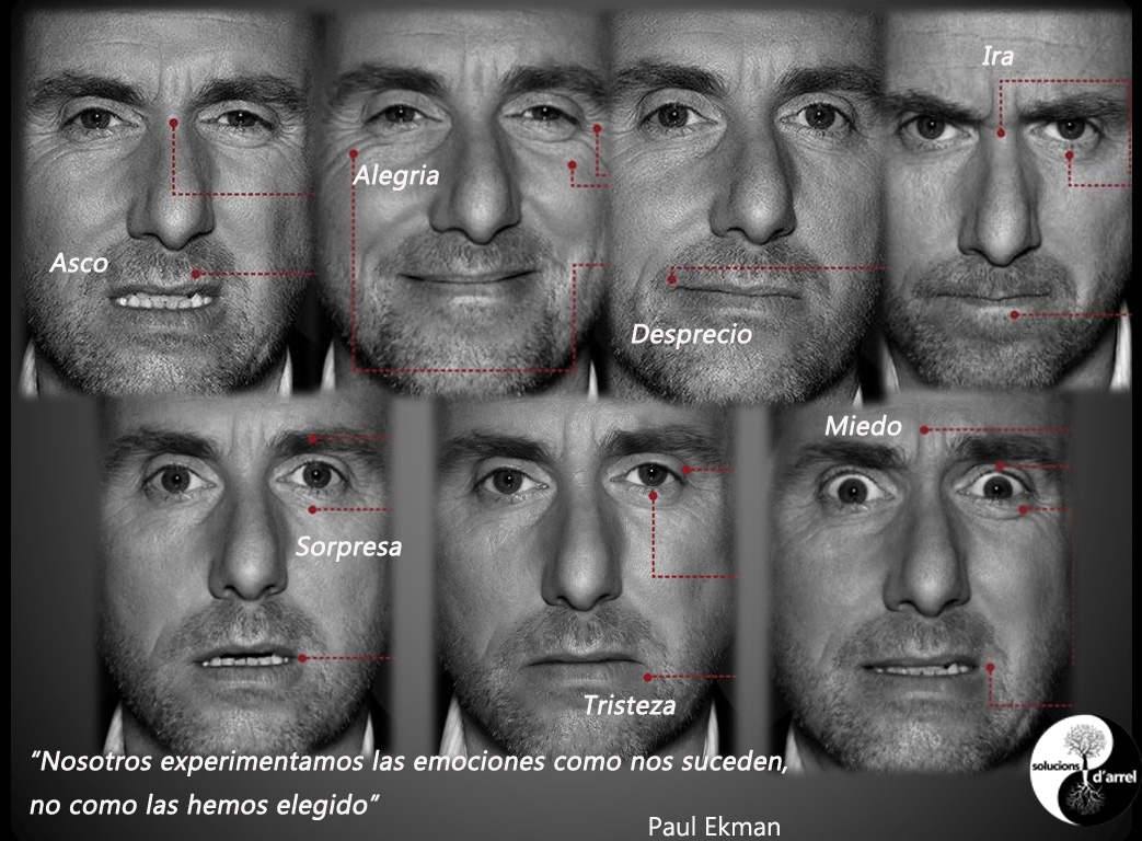 Microexpresiones: Tipos de microexpresiones.