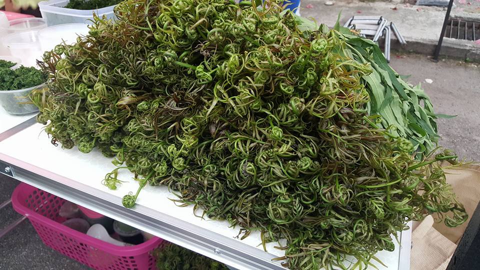 4 Sebab Ini Akan Membuatkan Anda Jatuh Cinta Pada Kuching Sarawak ...