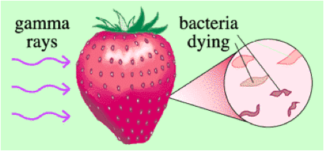 10 Methods of Food Preservation with Example ~ Biology Exams 4 U