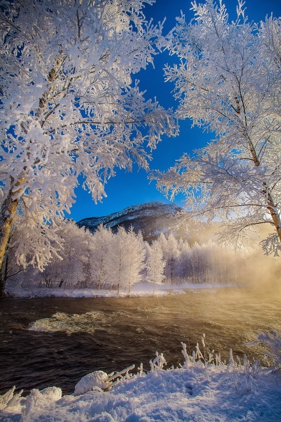 Taste of winter - Rogaland, Norway | Photography Atlas