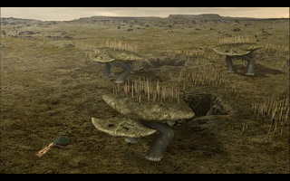 sanitorysocial: Alien.Planet.Discovery.Channel