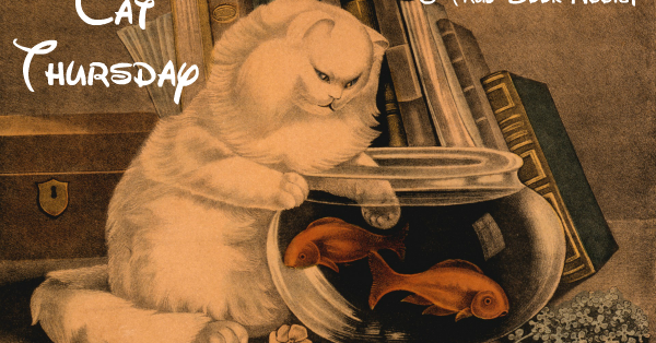True Book Addict...Books, Cats, and More: #CatThursday - Hello November ...