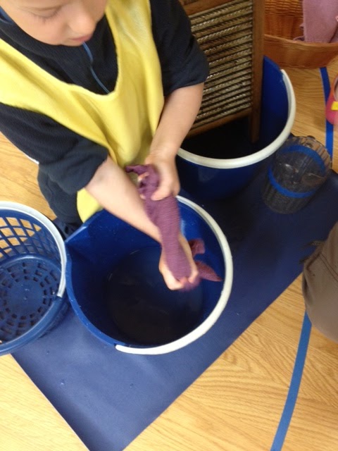 Montessori Teachings: Washing a cloth