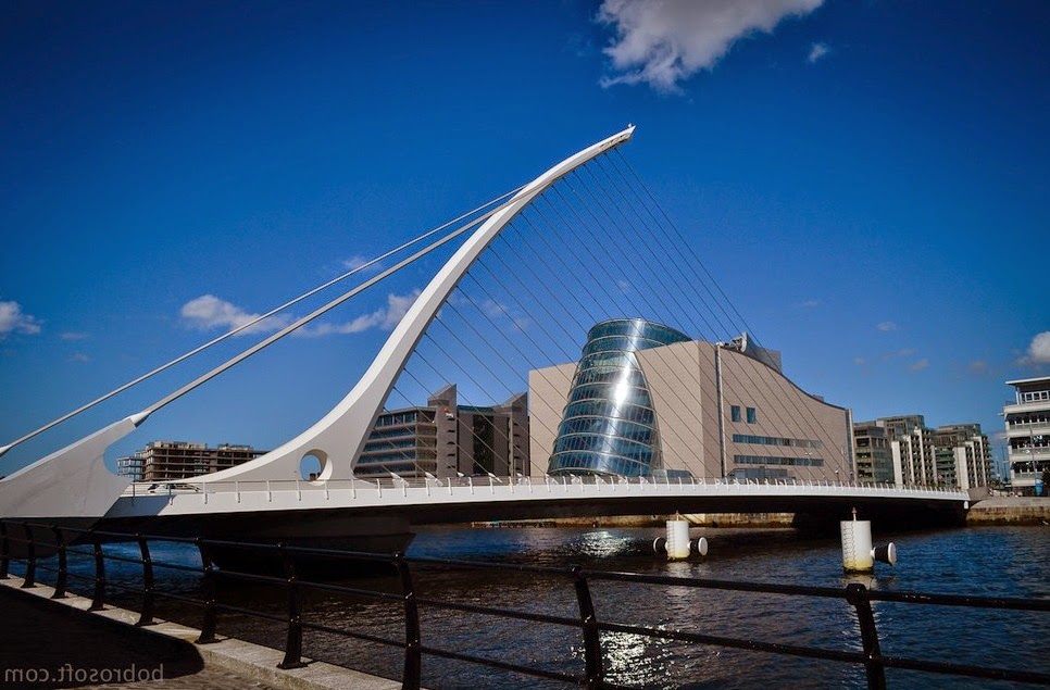 Samuel Beckett Bridge ~ Nature Conservancy