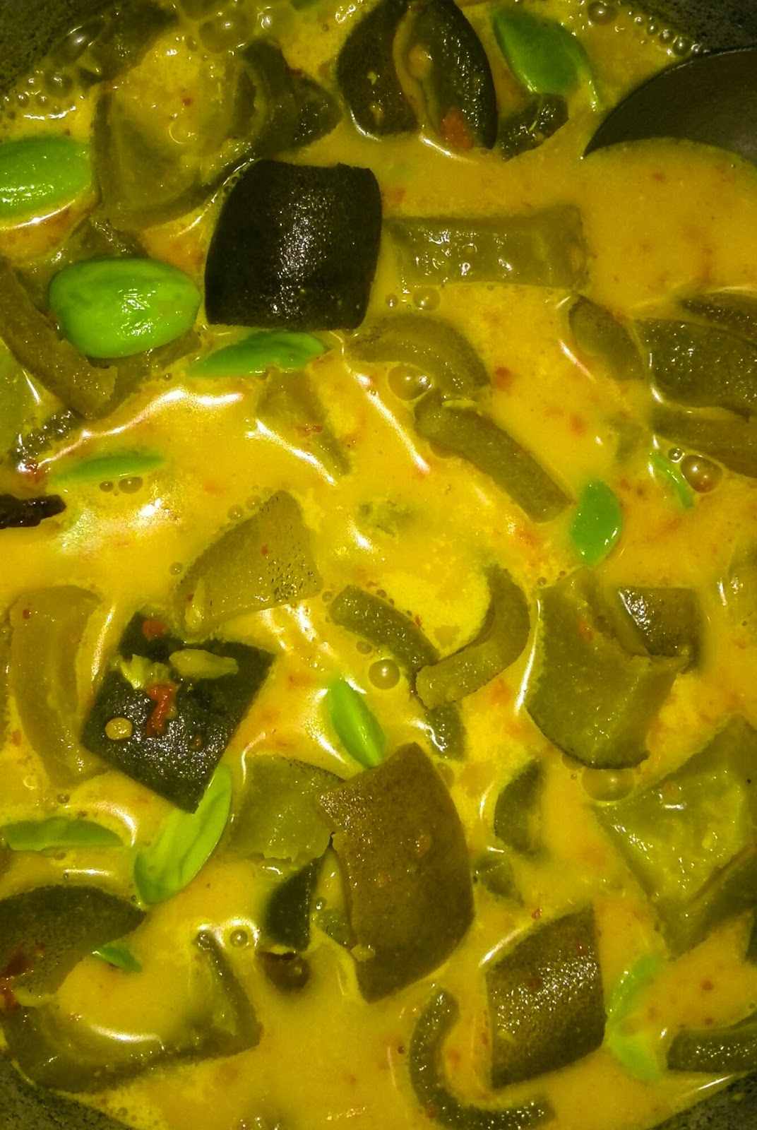 namakucella: KULIT LEMBU MASAK LEMAK CILI PADI