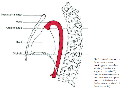 Understanding the Clinical Guide to Anatomy: Surface anatomy and ...