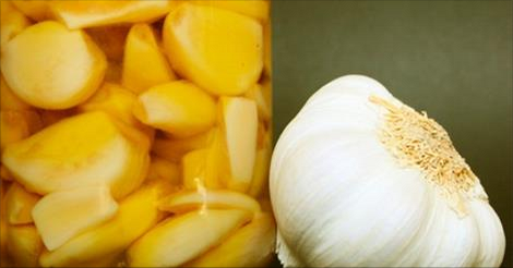 Make your own: Garlic oil for incredible medication! - Perfectz.Net