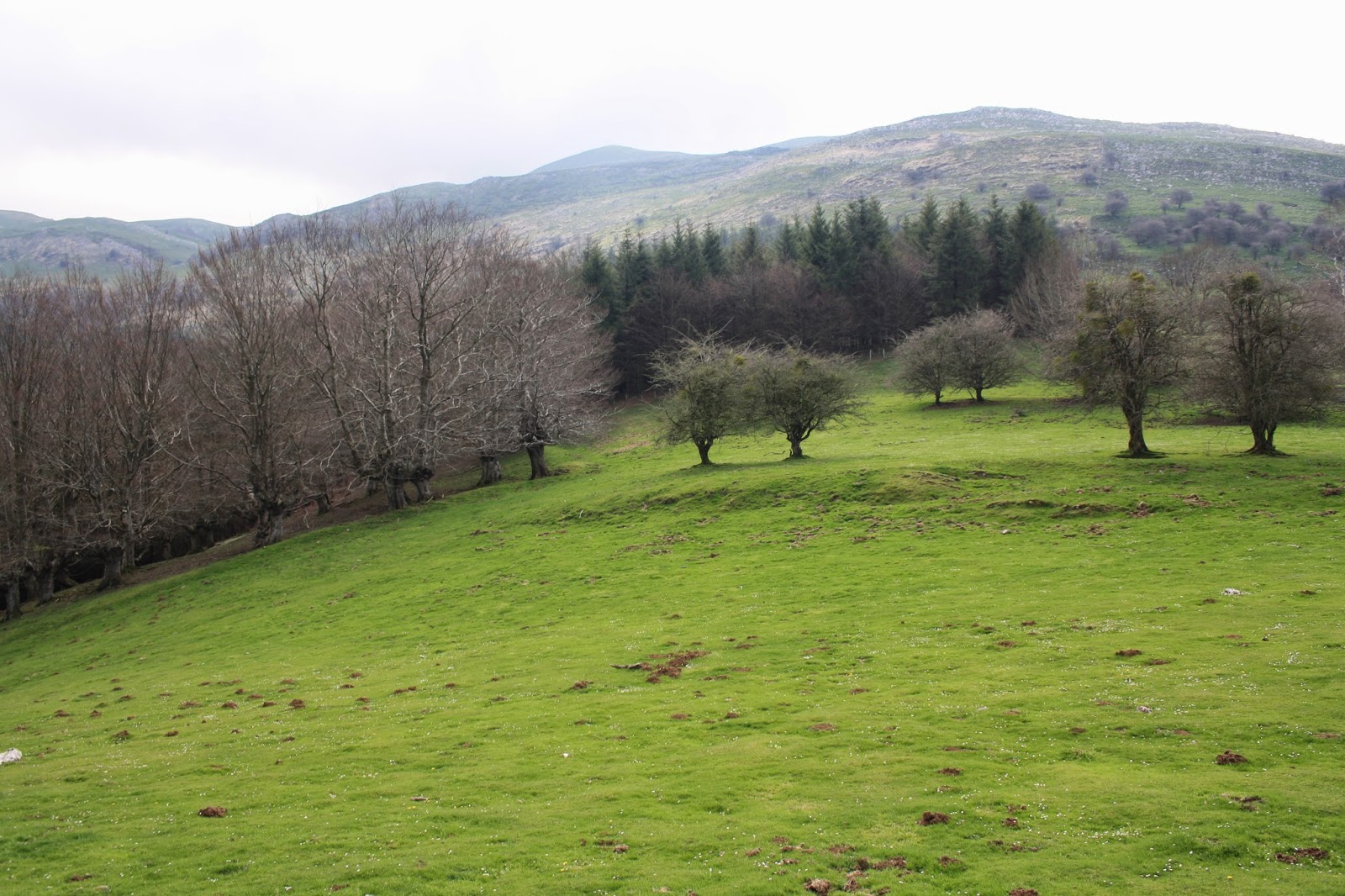 We are from Mountains: Larraitz - Gaztelu - Txindoki - Larraitz