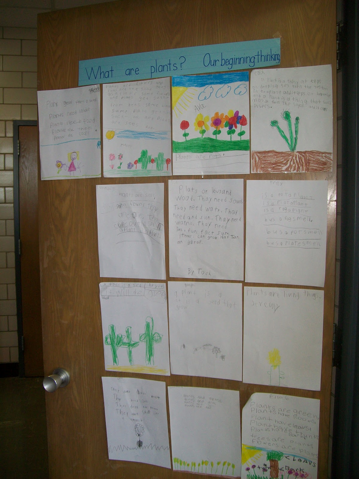 First Grade Rock Stars: Science Experiments Galore!