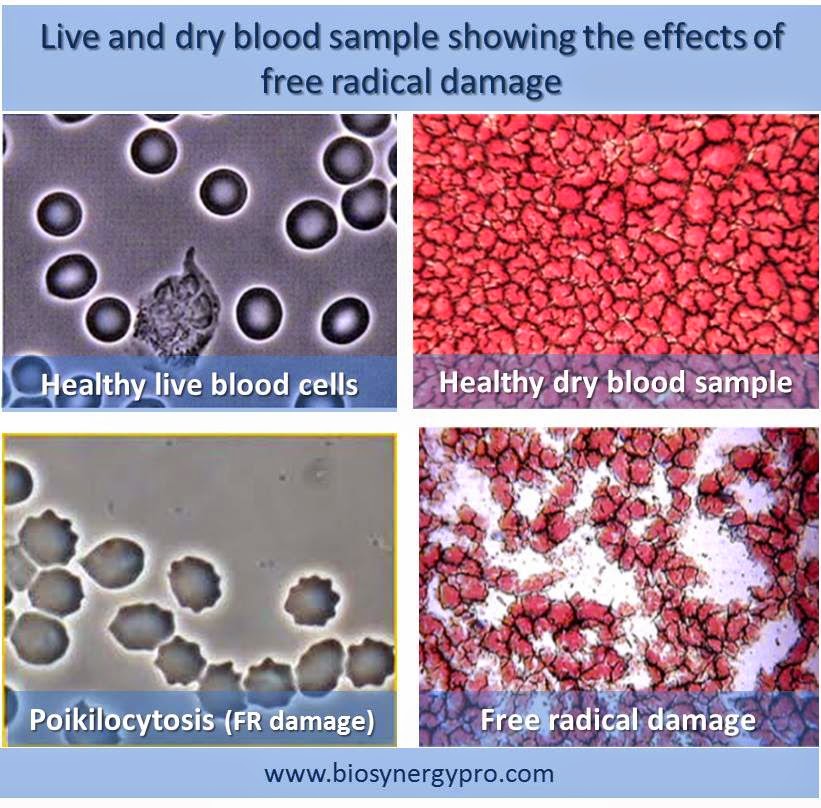 Bio-Terrain Guide: Understanding Degenerative Disease