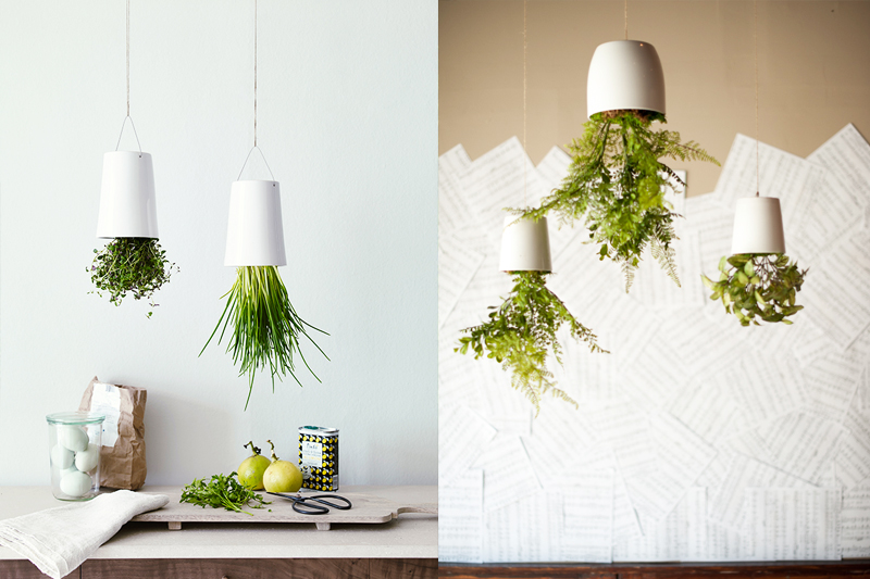 Studio Floral Dora Santoro: Jardim Invertido