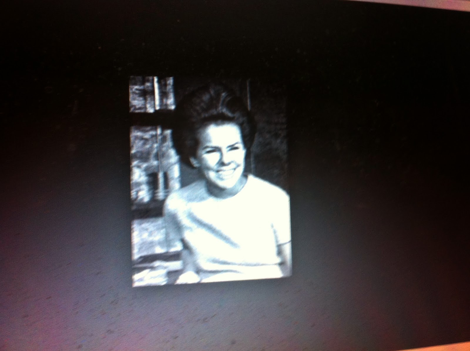 THE BLACK SOCIAL HISTORY:: BLACK SOCIAL HISTORY : AMERICAN " VIOLA ...