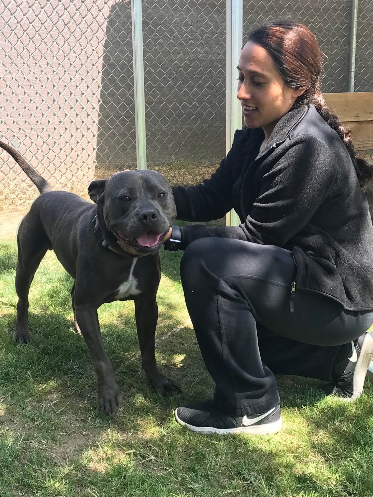 Fresno Bully Rescue: Christian