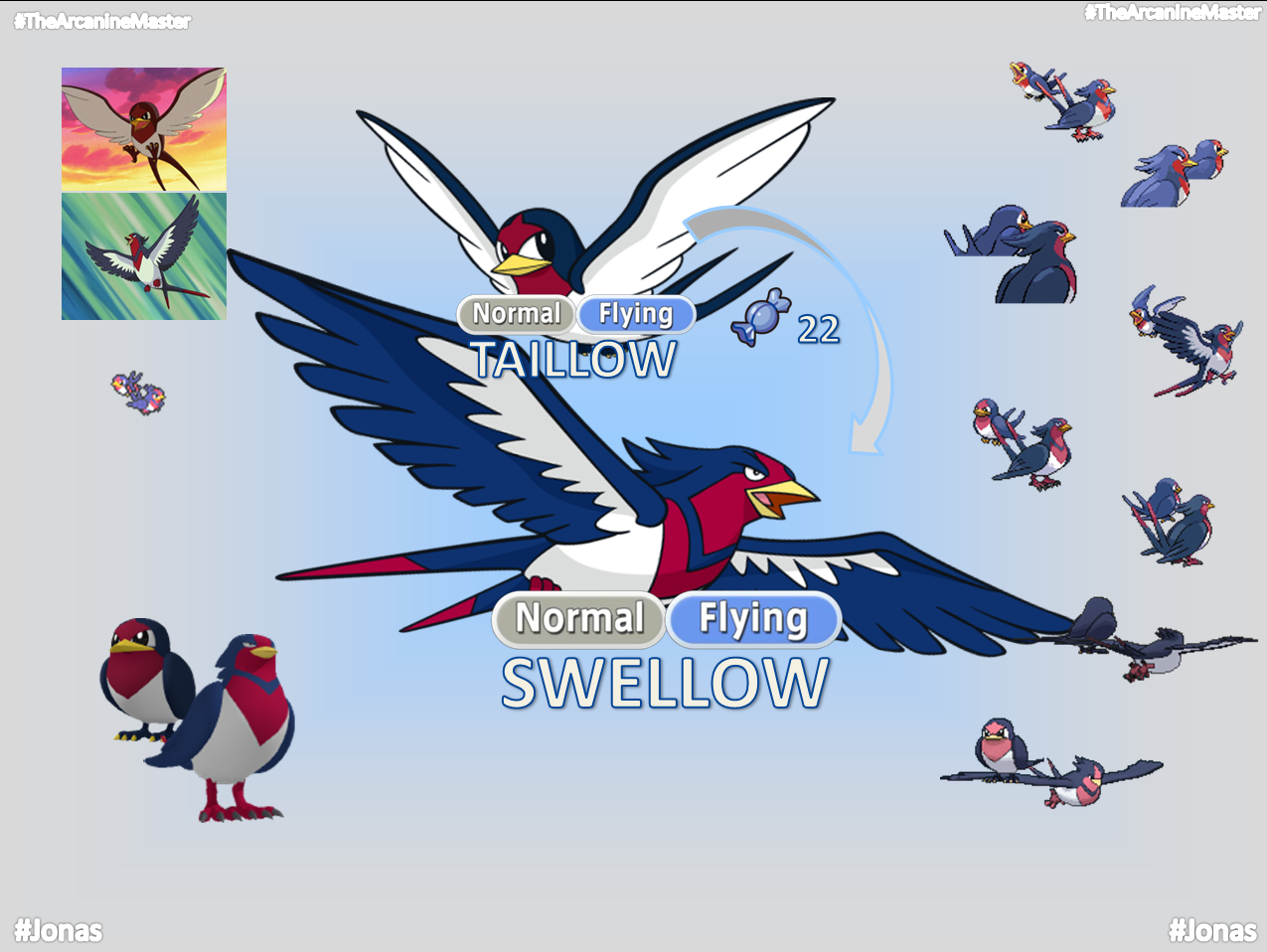 POKÉMON: Pokémon da Semana - Swellow