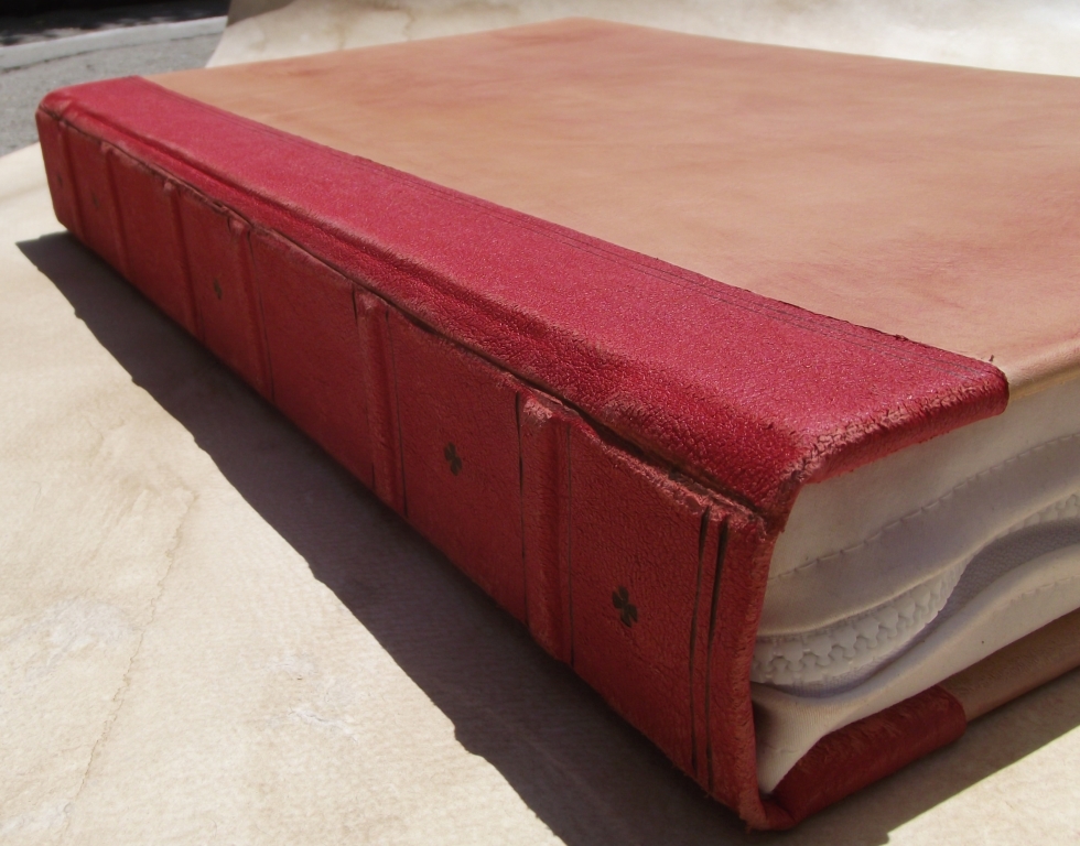 Husa / Coperta laptop