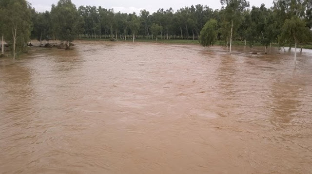 Flood in Barapind Zafarwal Narowal | Barapind Pk