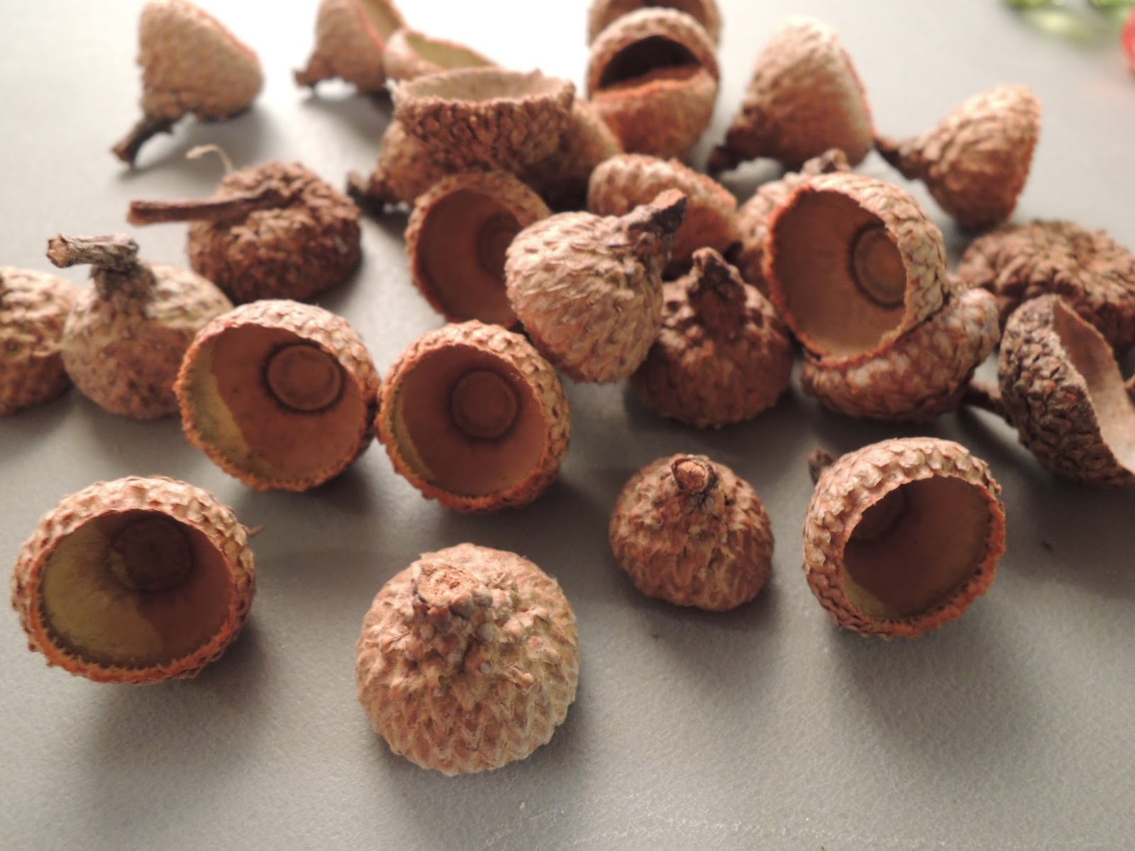 Holly Goes Lightly: Beaded Acorns