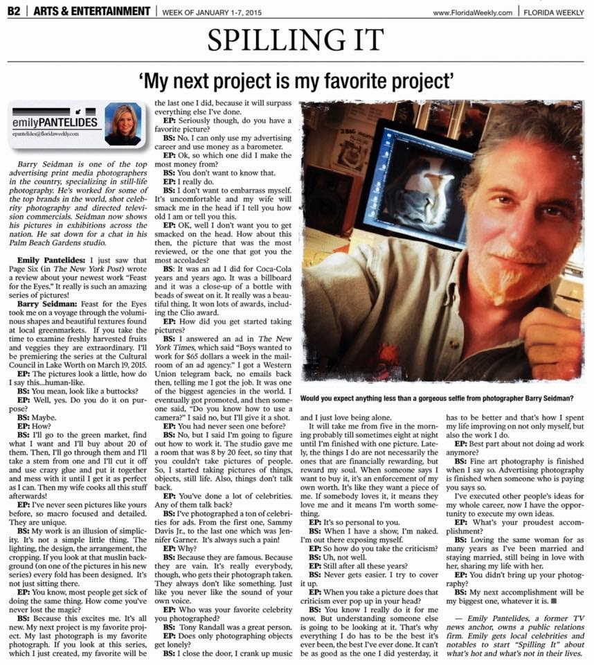 Continuum Palm Beach Art Fair: Highlight of an Artist: Barry Seidman