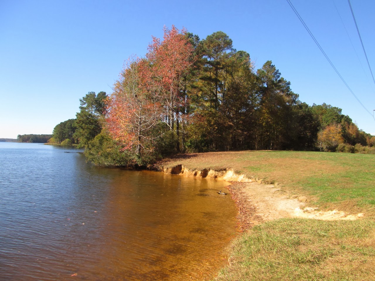 The Stir Crazy Moms' Guide to Durham: Harris Lake County Park