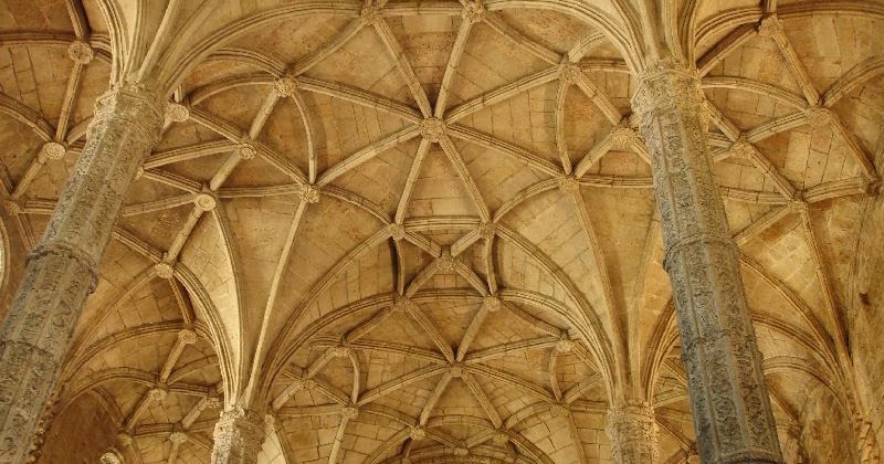 French Vocabulary Illustrated: nervure