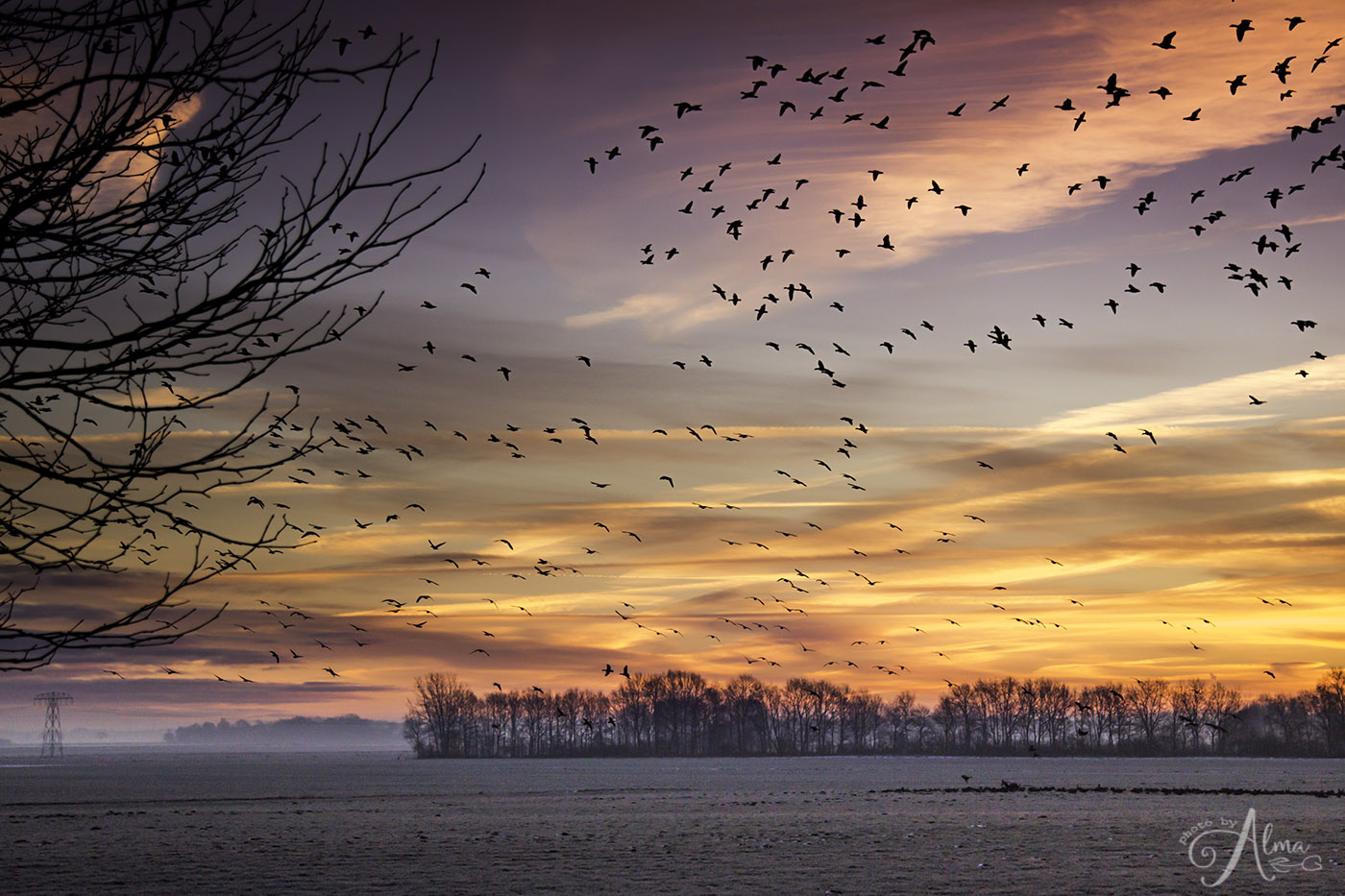 Rode ochtendzon - Captured in a Lens