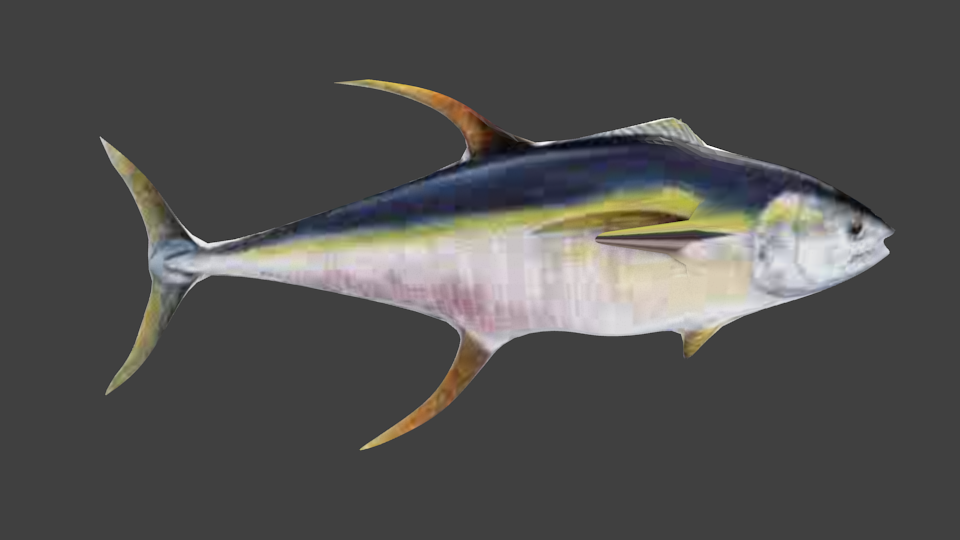 Membuat Model Ikan Tuna dengan Blender menggunakan Texture Unwrap