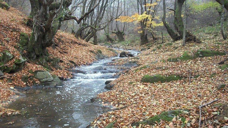 Carul Mare şi Carul Mic