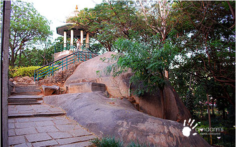 Sights and Insights: On My Visit to Basavangudi (The famous Bull Temple ...