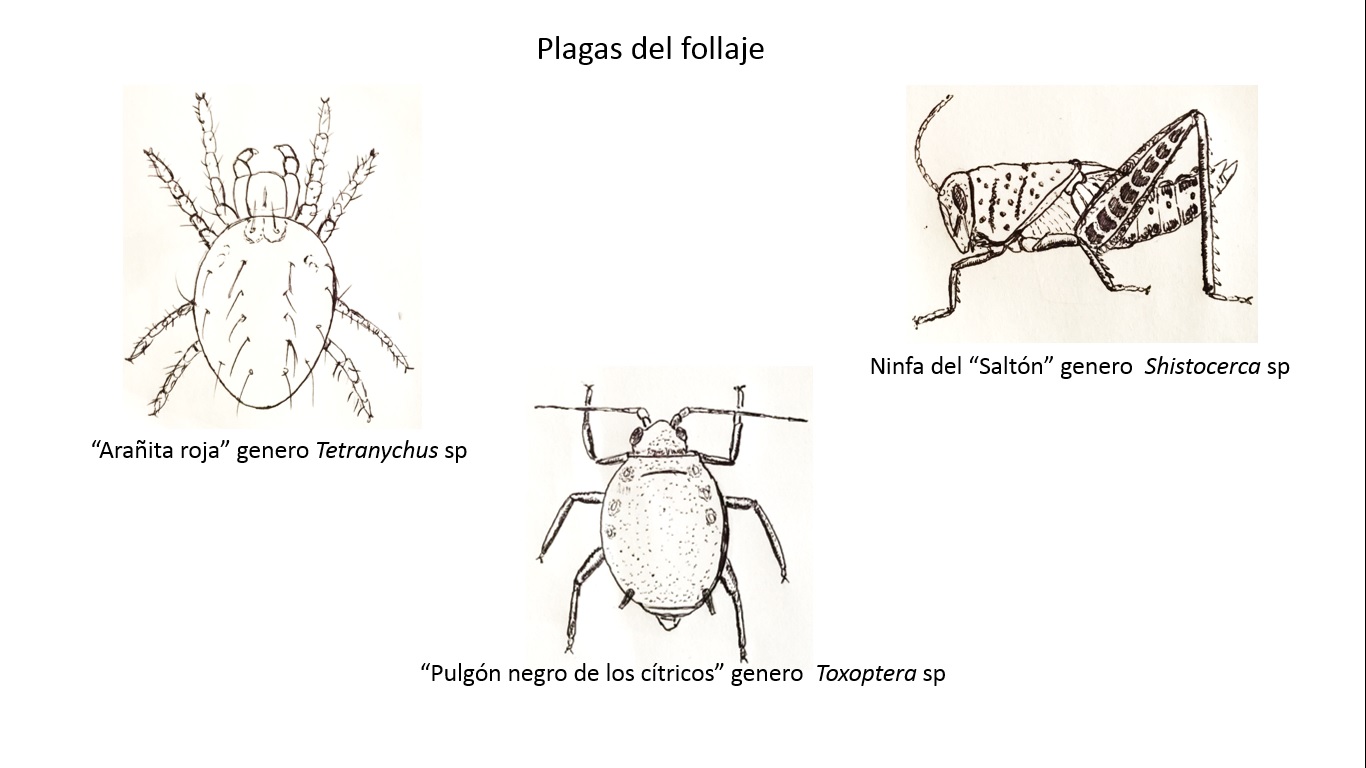Asignatura de Biologia : septiembre 2015