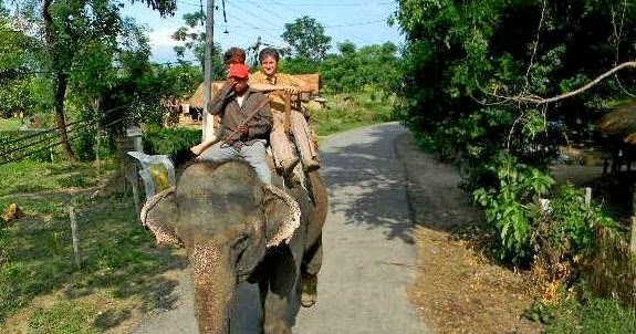 12 tipuri de călători, sau 12 răspunsuri la o singură întrebare: de ce ...